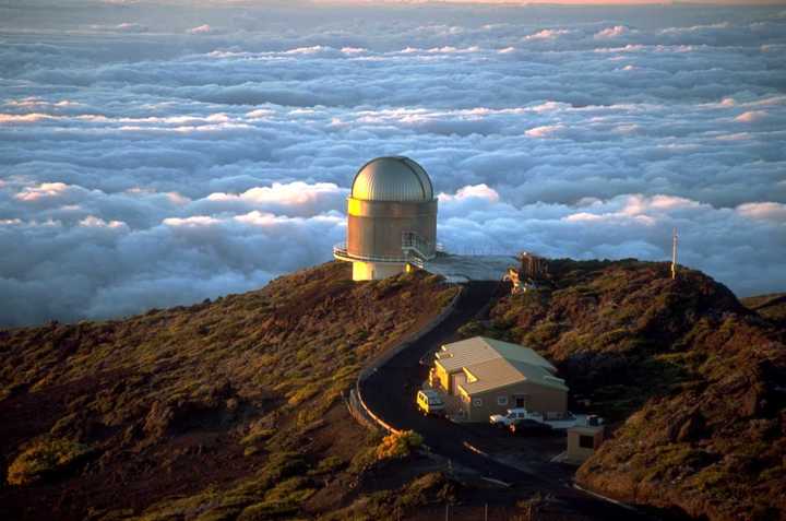 TMT International Observatory